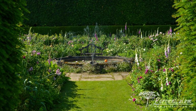 Hazelbury Manor | Perenniculum